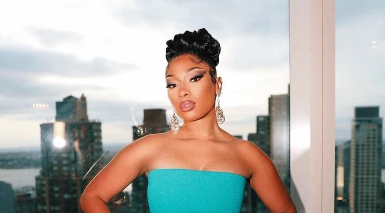 Megan Thee Stallion teases ‘Stranger Things’ appearance