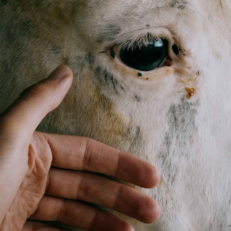 ‘Chad facing’, ‘mewing’ and ‘looksmaxxing’... Are men alright?